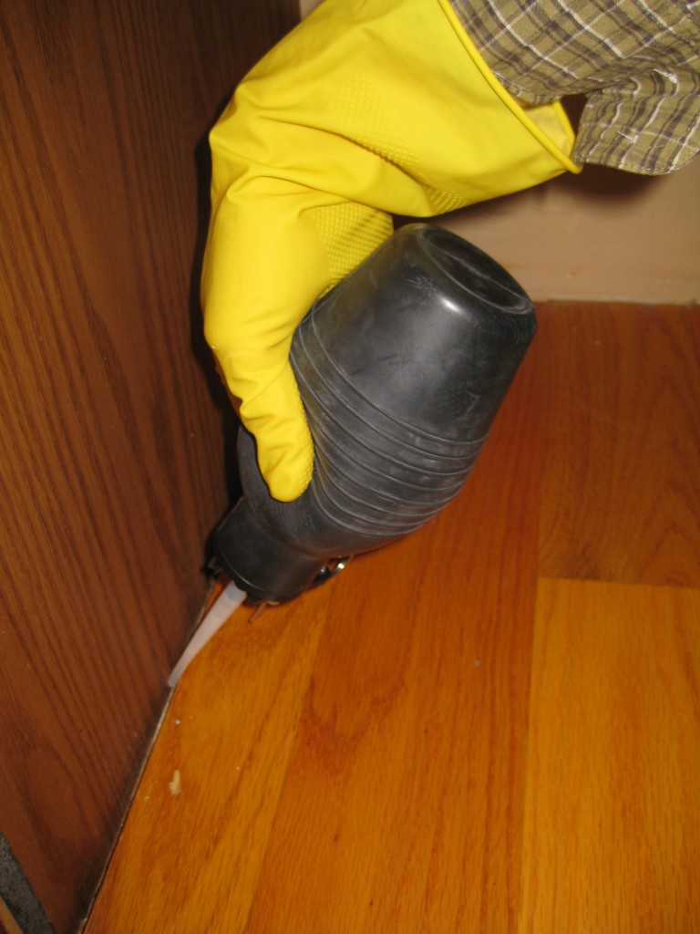 IPM crack & crevice control | Invasive Pest Solutions™